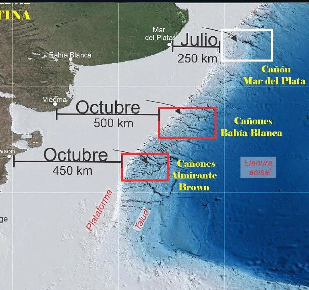 Del fondo del mar a las aulas: qué pistas ofrece el streaming del ...